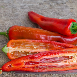 Giant Marconi Red Sweet Pepper – Sejahtera Seeds and Bulbs