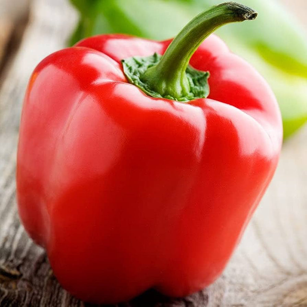 Sweet Pepper Yolo Wonder Bell Improved – Sejahtera Seeds and Bulbs