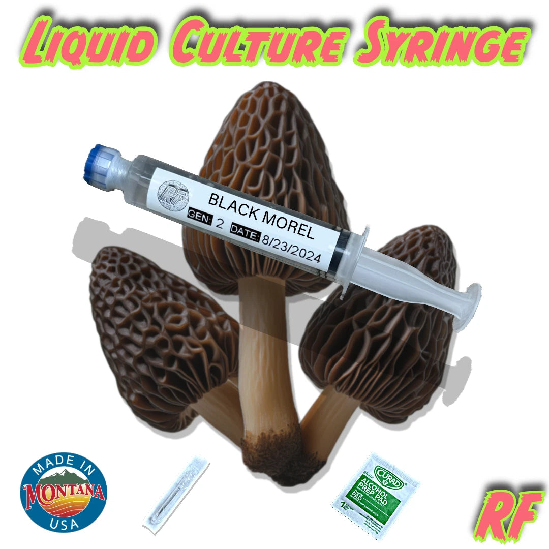 Organic Black Morel Liquid Culture Syringe Kit - Morchella Elata for ...
