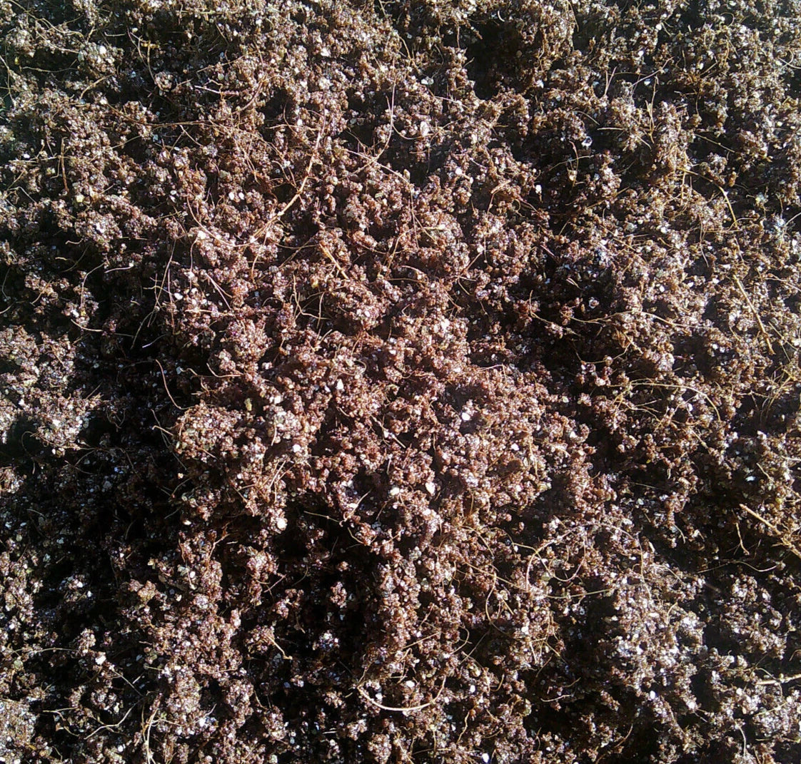 CVG Mushroom Substrate 15lbs Coco Coir Vermiculite Gypsum - Pasteurize ...