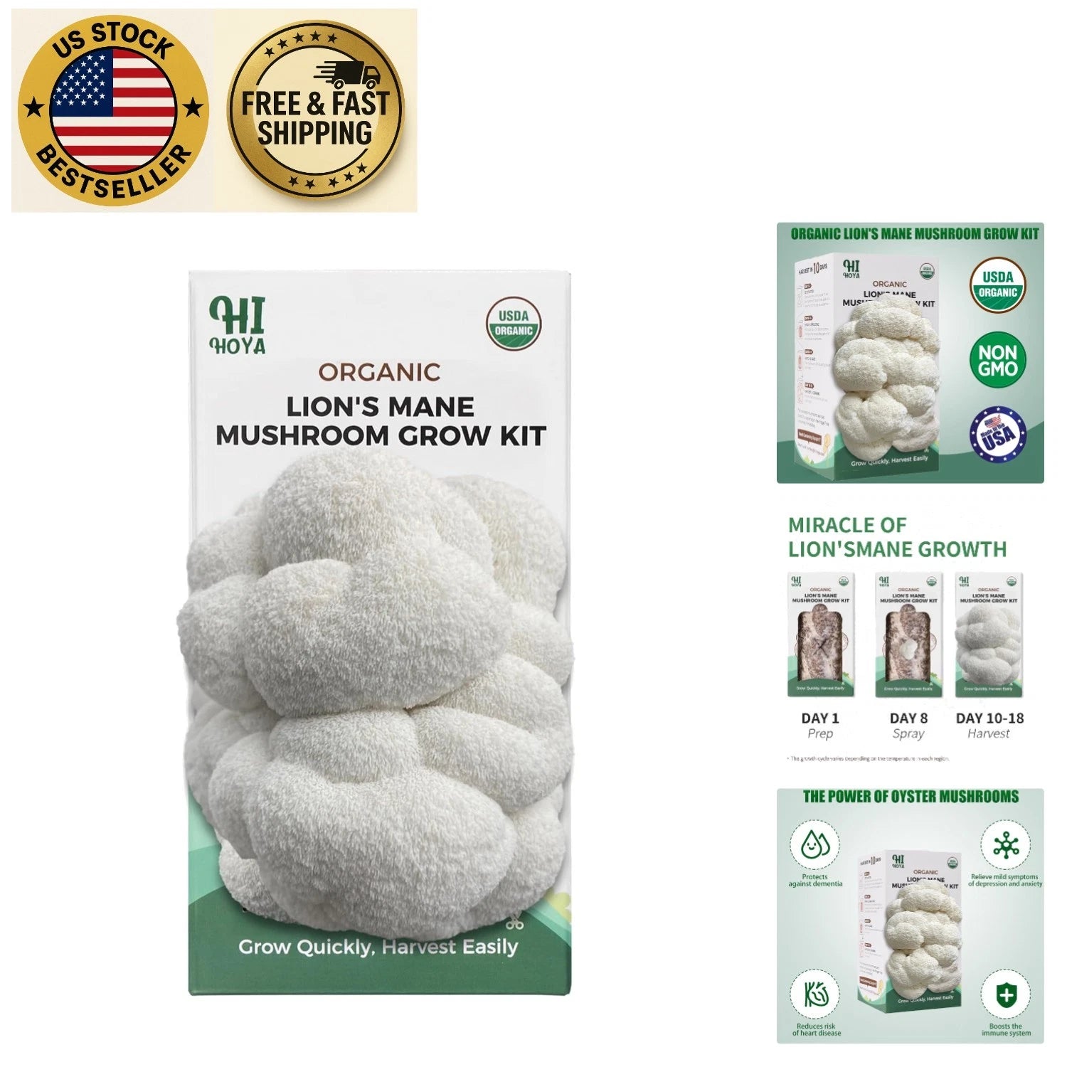 Organic Lion's Mane Mushroom Growing Kit | Complete Set for Beginners ...